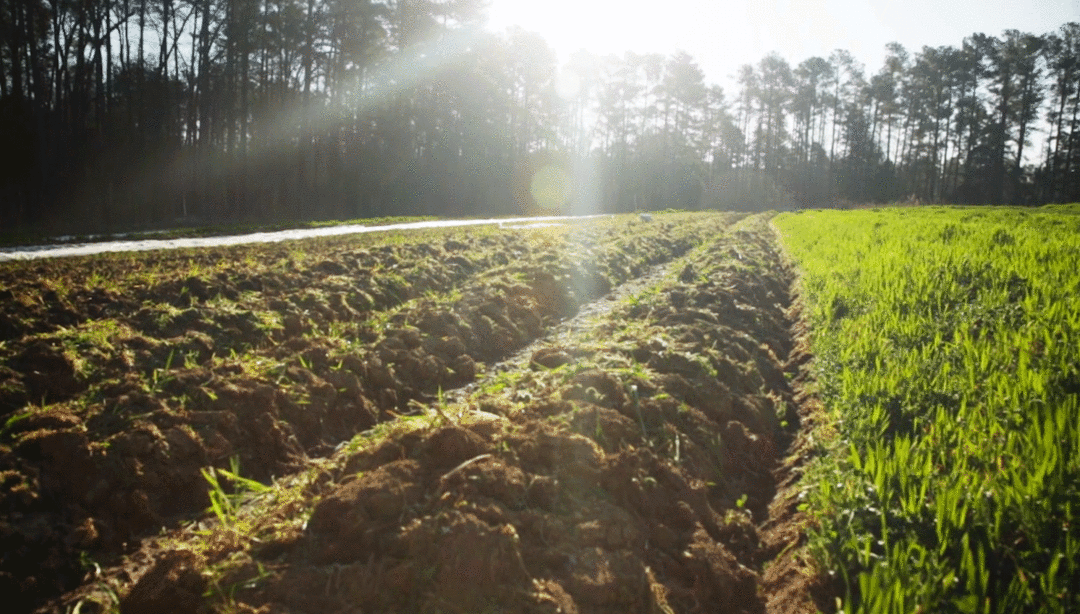 Environmental Groups Take a Closer Look at the Diverse Populations they ...