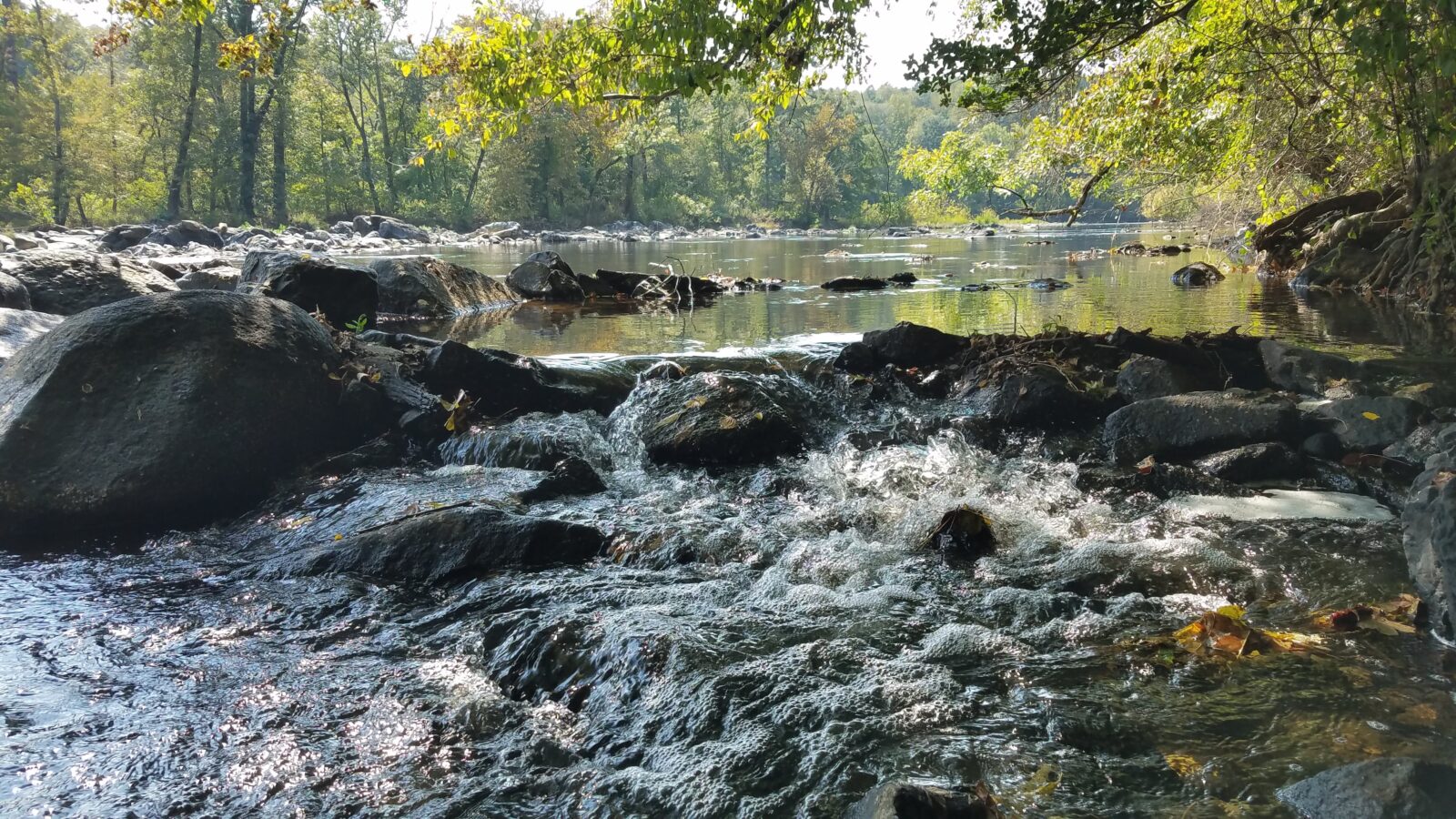 Haw River Assembly | Triangle Community Foundation
