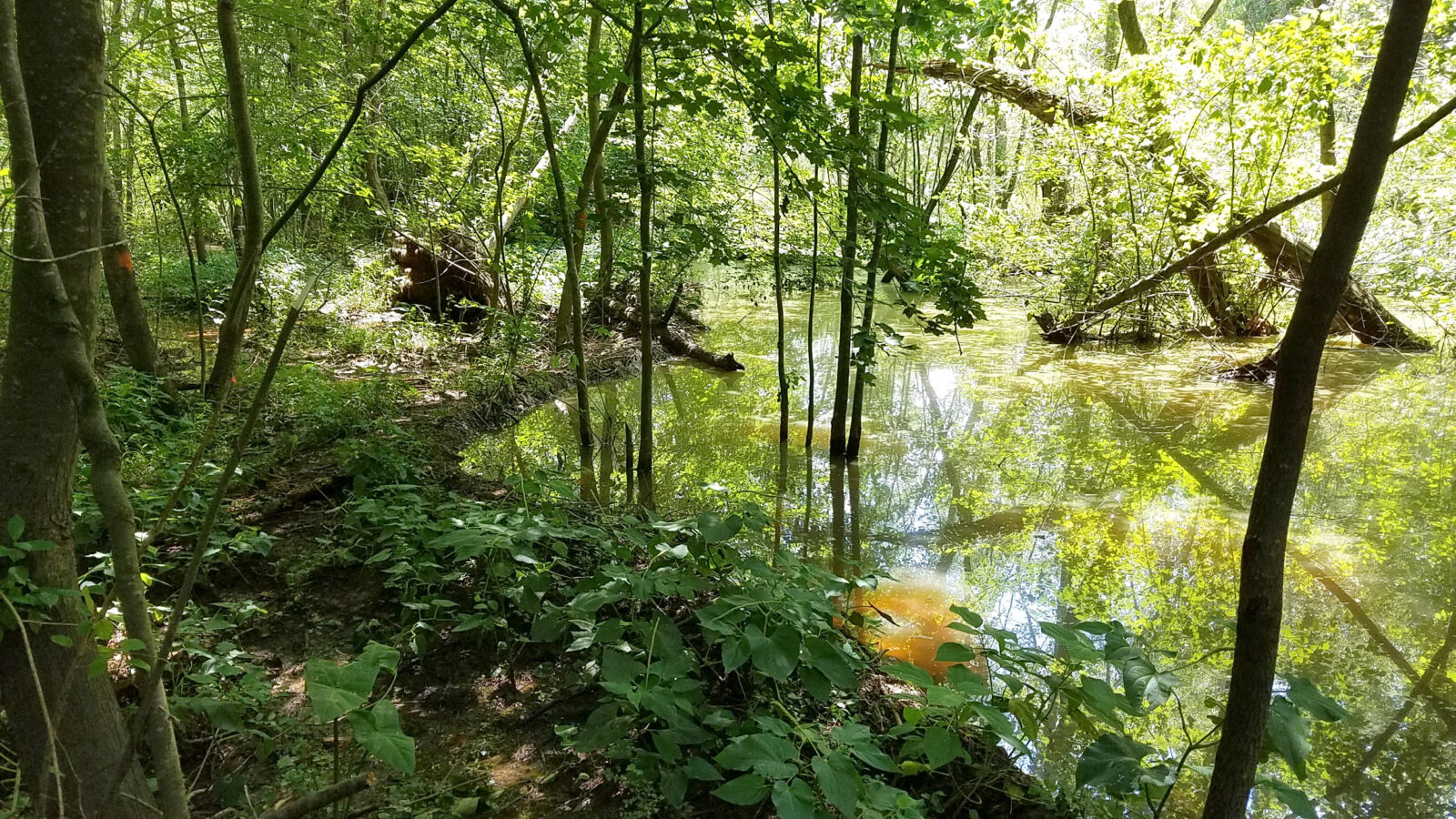 Partners for Environmental Justice | A Powerful Force for Change ...